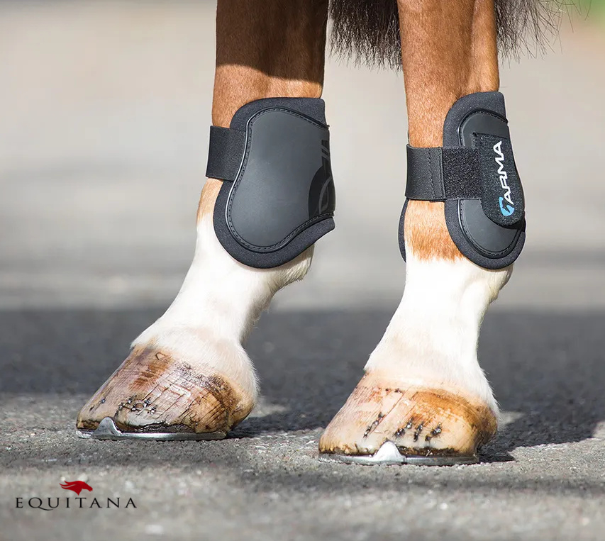 Cositori Arma Shires | Equitana