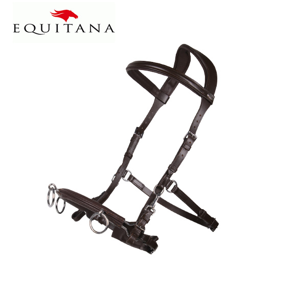 Caveson QHP | Equitana