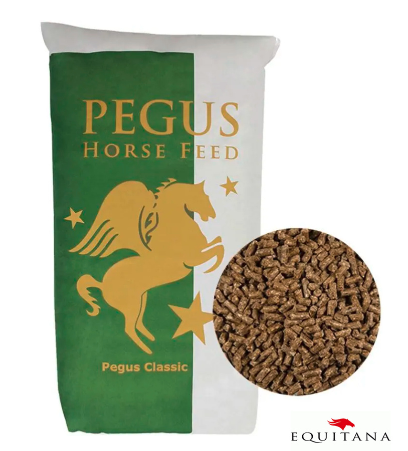 Furaje pentru cai de agrement, Pegus Classic Bio | Equitana