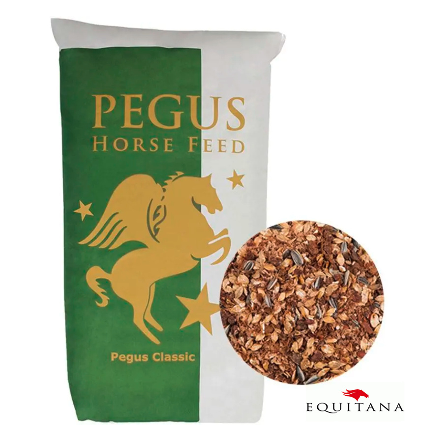 Furaje pentru cai de agrement, Pegus Classic Mash | Equitana