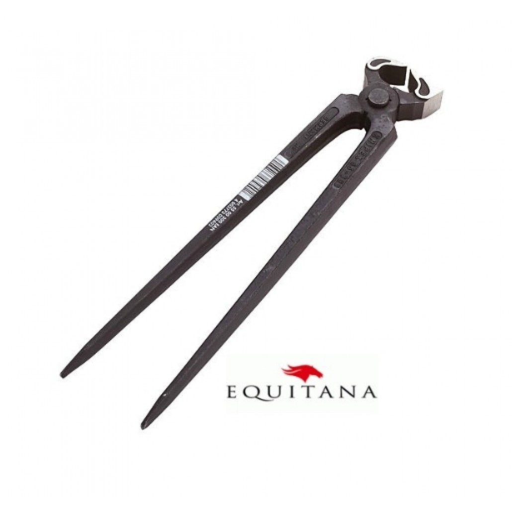Cleste | Equitana