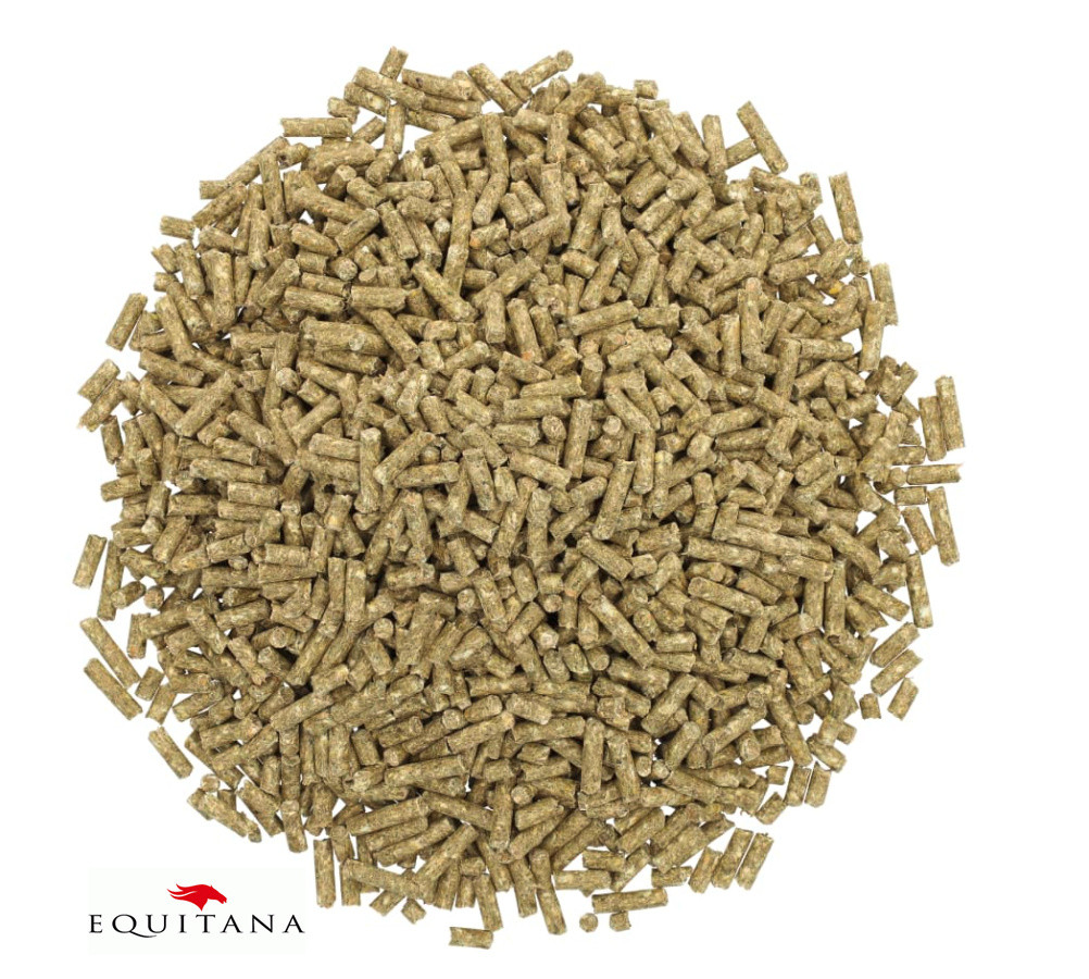 Furaje pentru cai de agrement, Pegus Classic Bio | Equitana