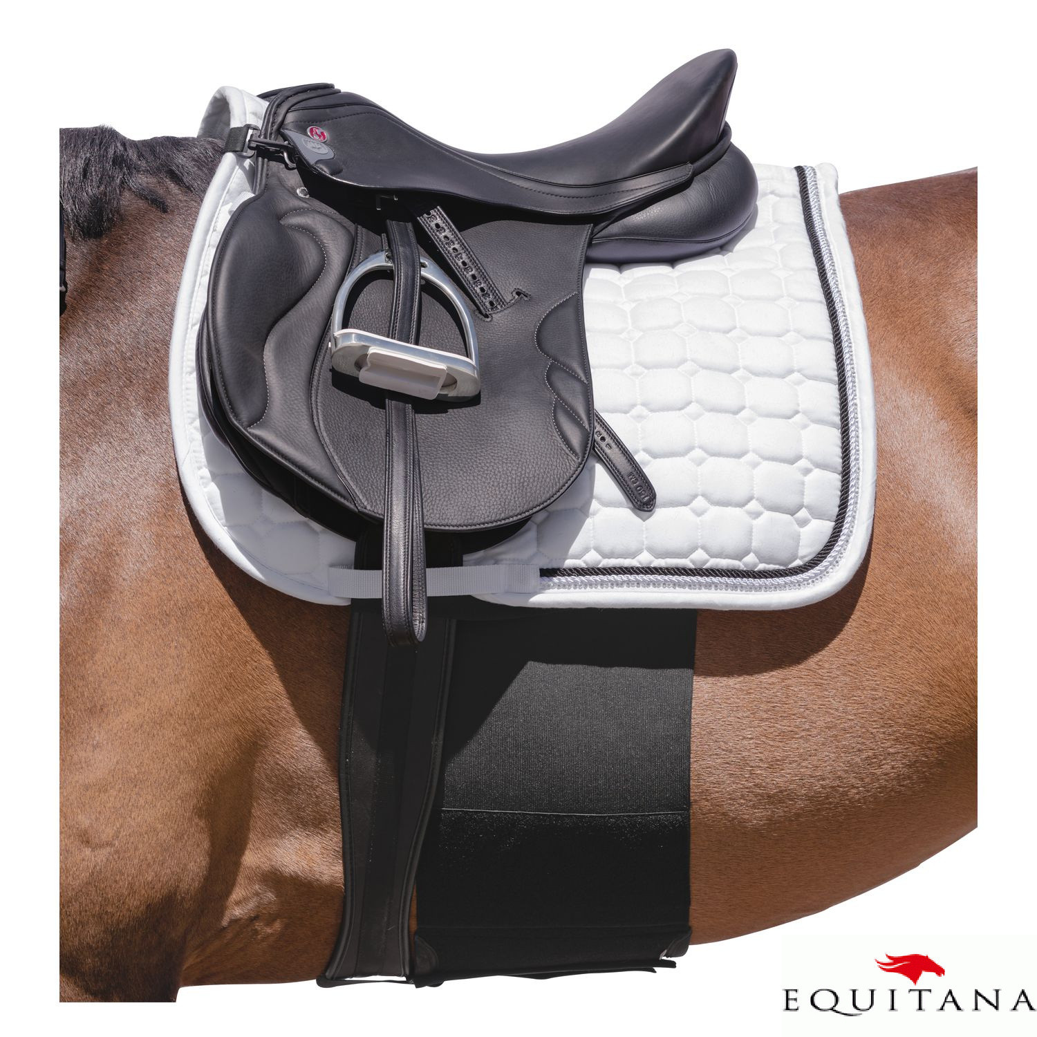 Chinga elastica de protectie pentru pinteni | Equitana