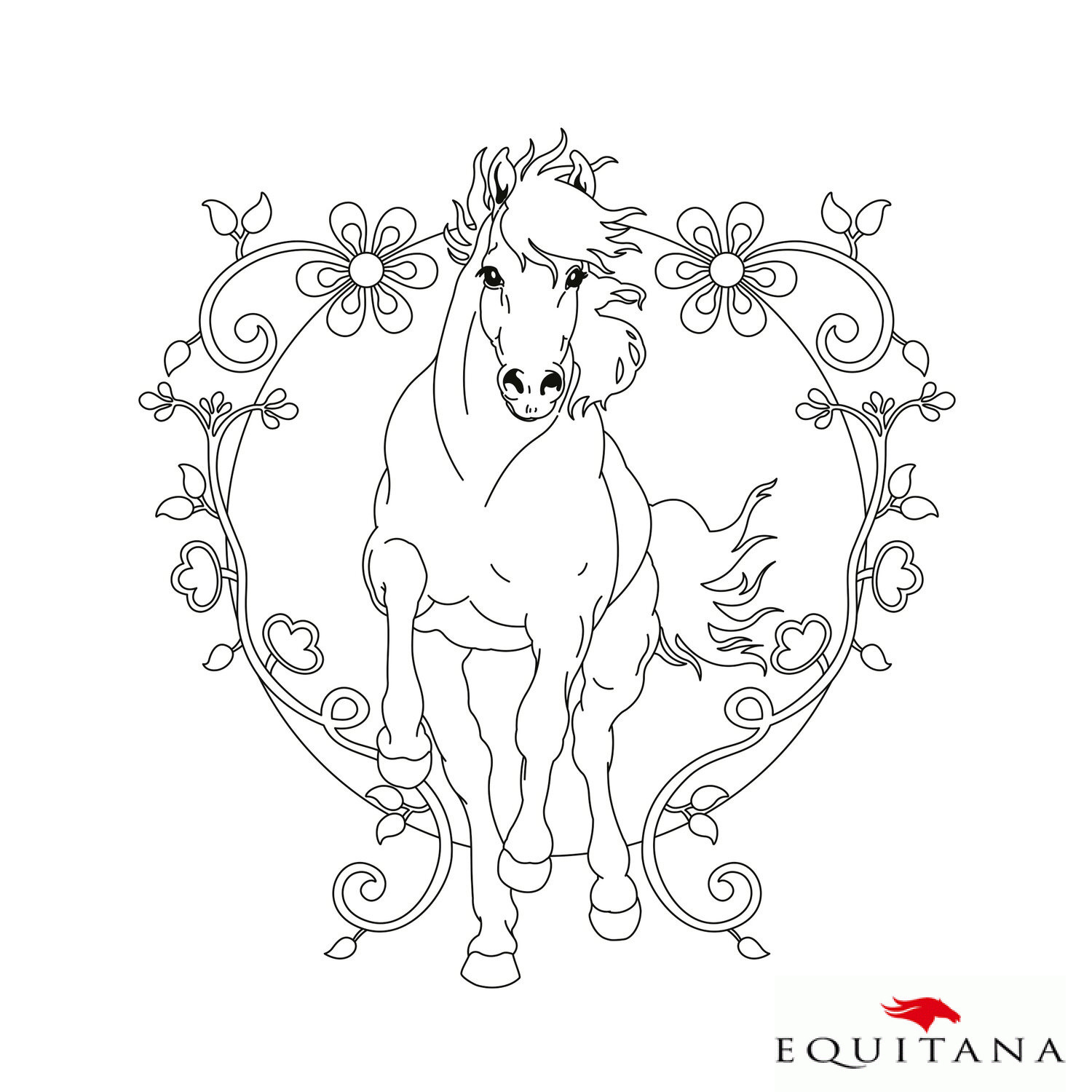Carte de colorat | Equitana