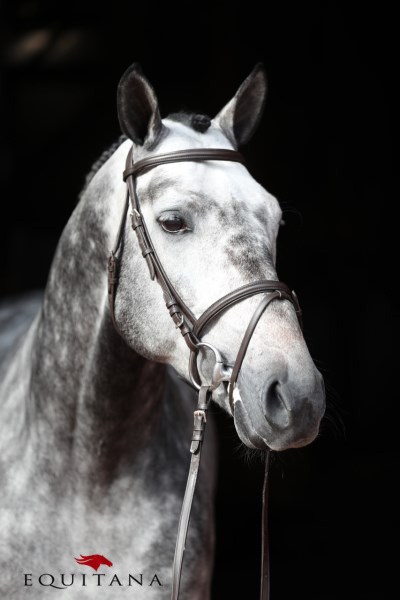 Frau Standard, Kerbl | Equitana