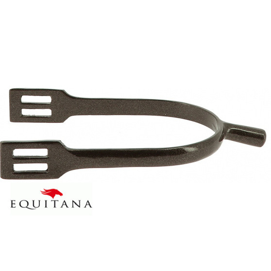 Pinteni Feeling "Prince of Wales" | Equitana