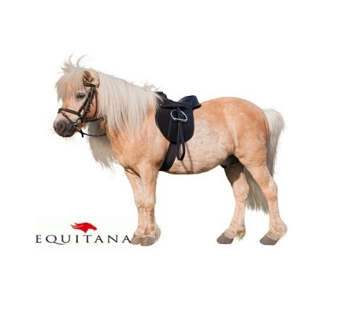 Set sa economic pentru ponei Kerbl | Equitana
