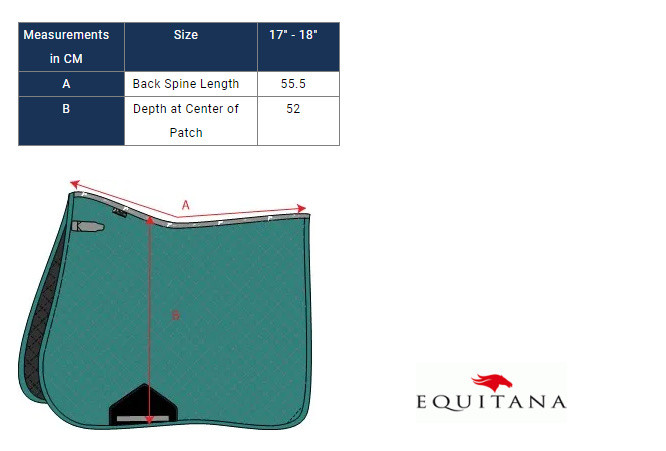 Valtrap dresaj Arma Shires | Equitana
