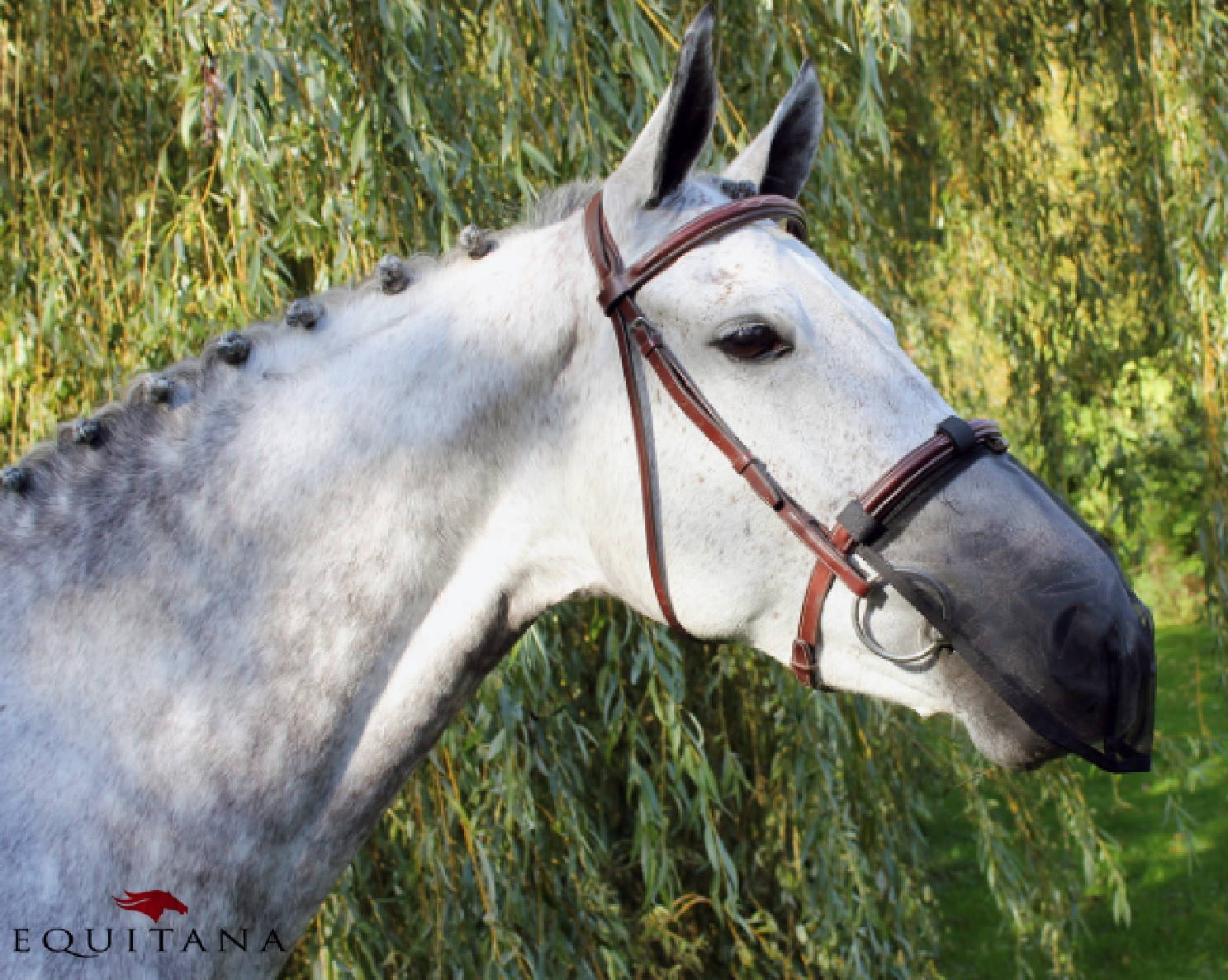 Protectie antiinsecte pentru bot | Equitana