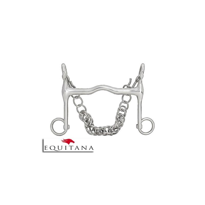 Zabala curbata | Equitana