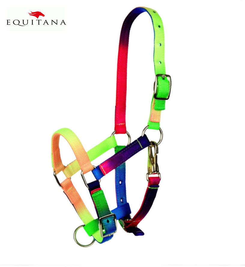 Capastru Rainbow Tattini | Equitana