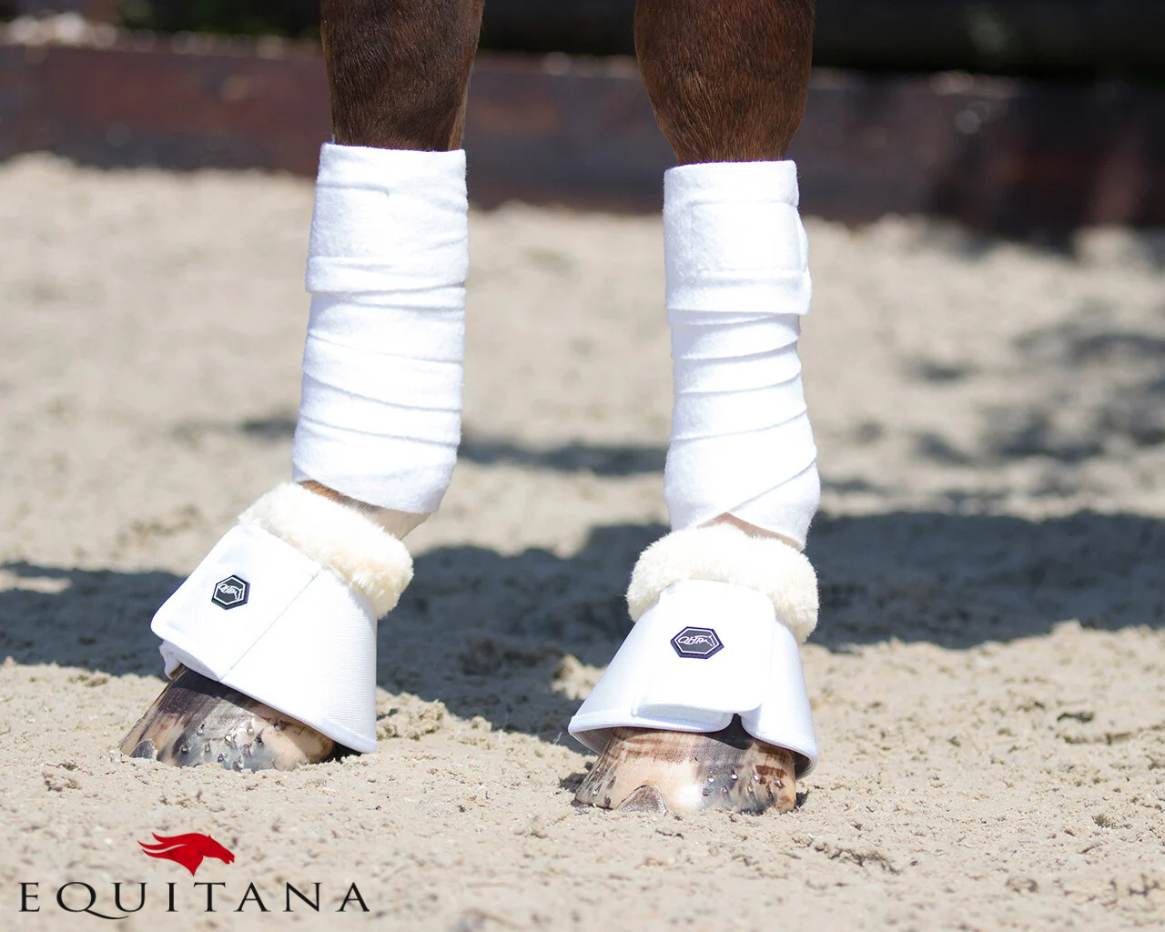 Galosi Ontario | Equitana
