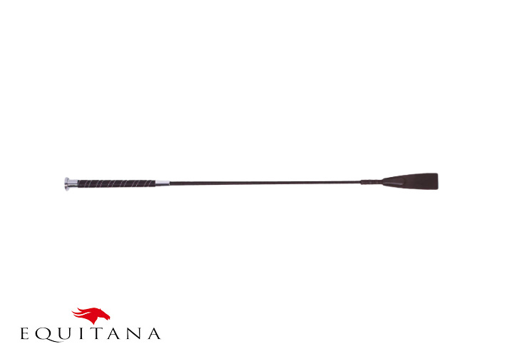 Cravasa QHP Bello | Equitana