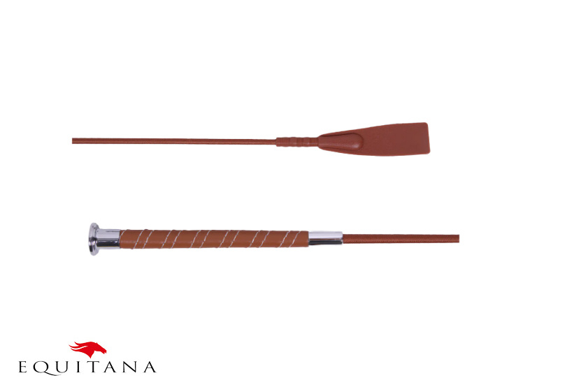 Cravasa QHP Bello | Equitana