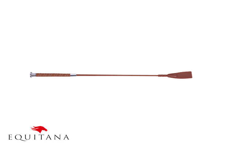 Cravasa QHP Bello | Equitana