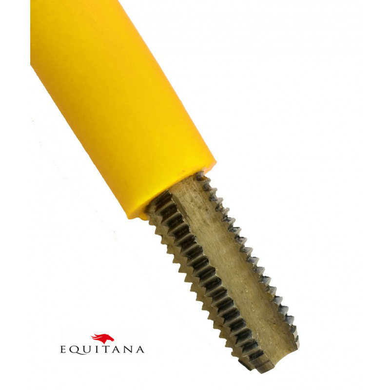 Tarod pentru colti | Equitana